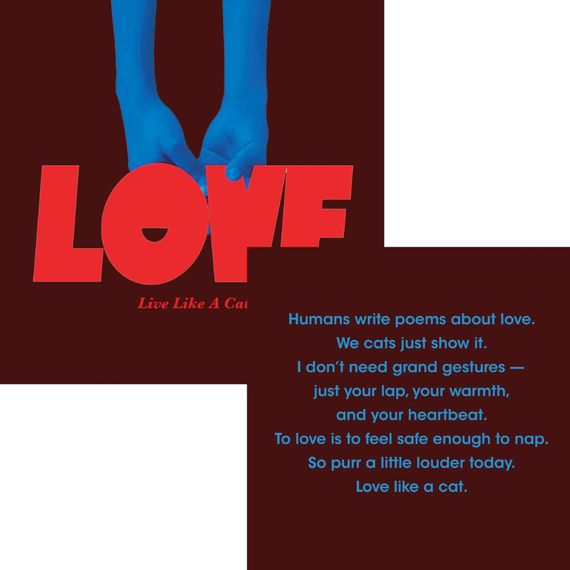 Toby Black - Stylish Cat Inspired Bags & Apparel