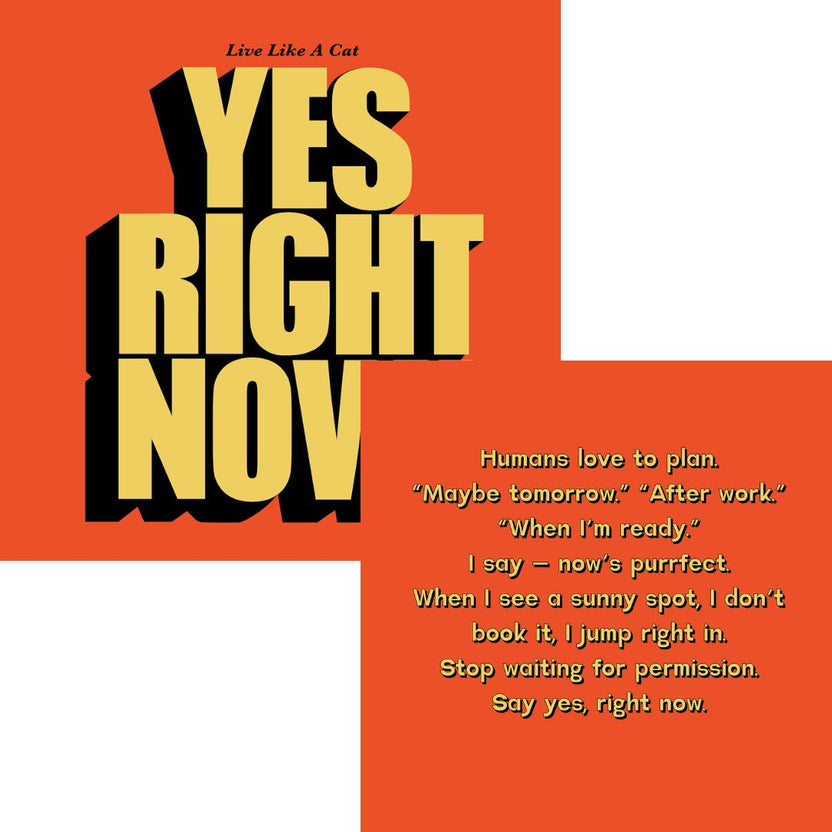 Toby Black - Stylish Cat Inspired Bags & Apparel